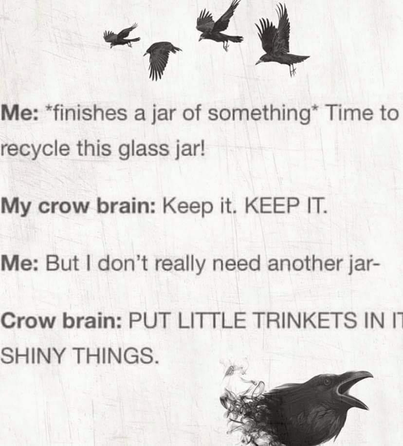 The best Crow memes :) Memedroid