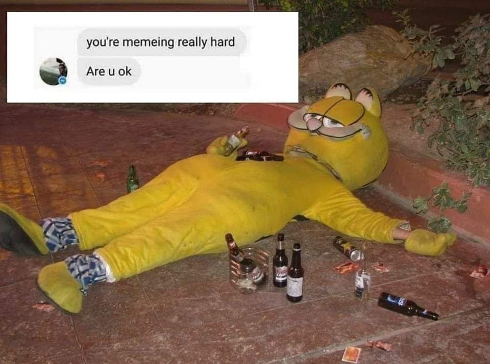 The best Garfield memes :) Memedroid