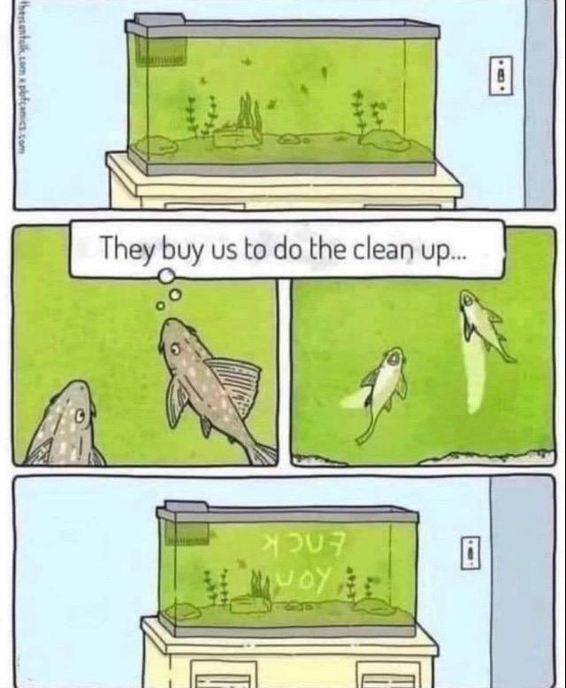 Latest memes / New memes :) Memedroid