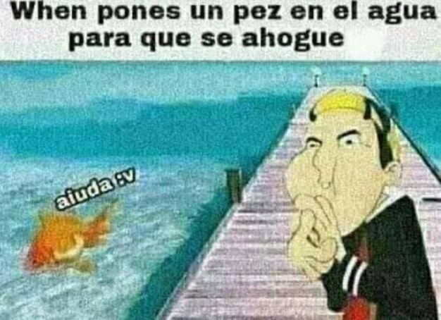 Que Es La Memes