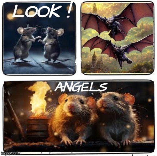 Latest memes / New memes :) Memedroid