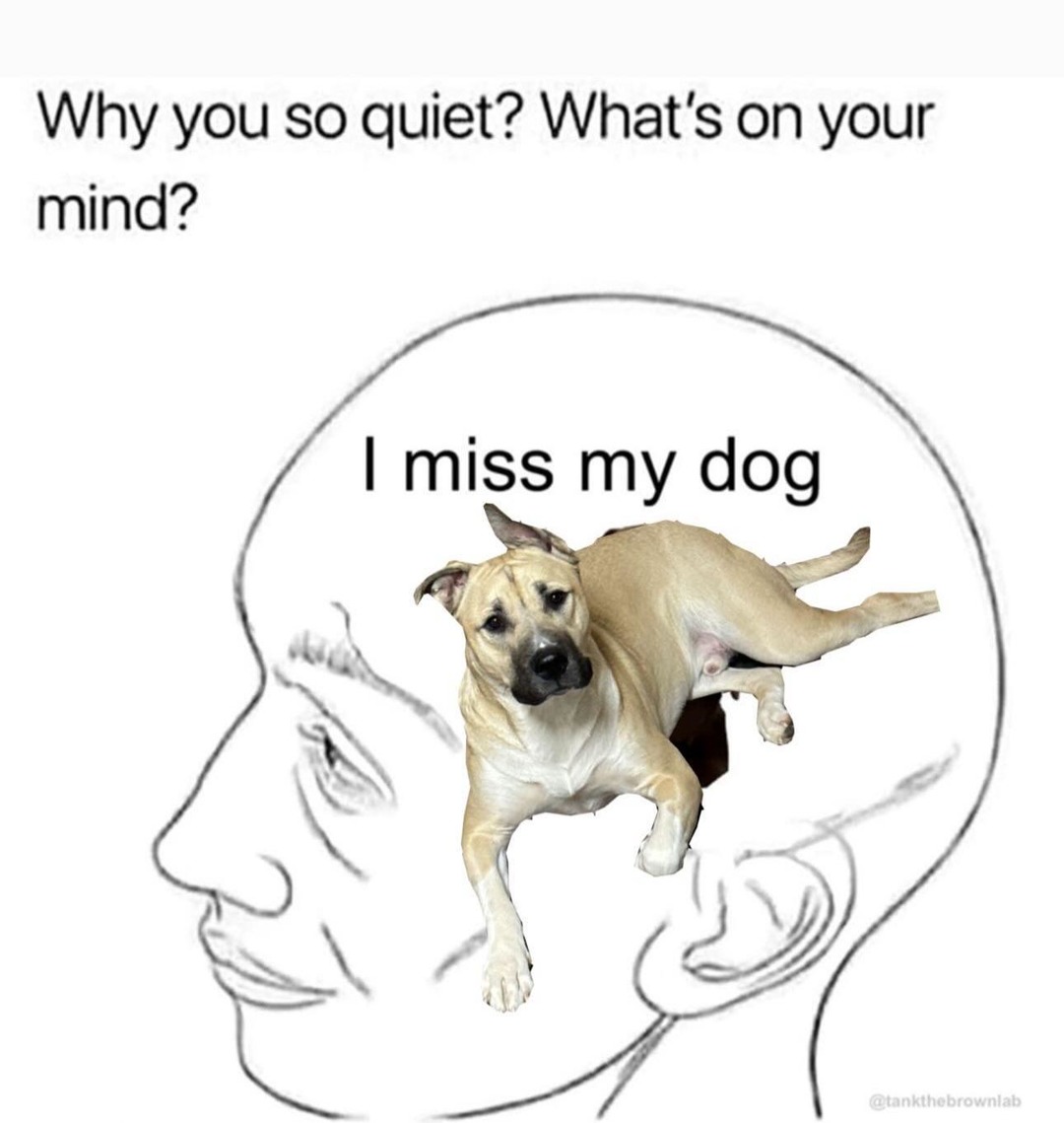 Emotional Love Memes As A Scorpio My Love Isnt Just Deep Its An Abyss