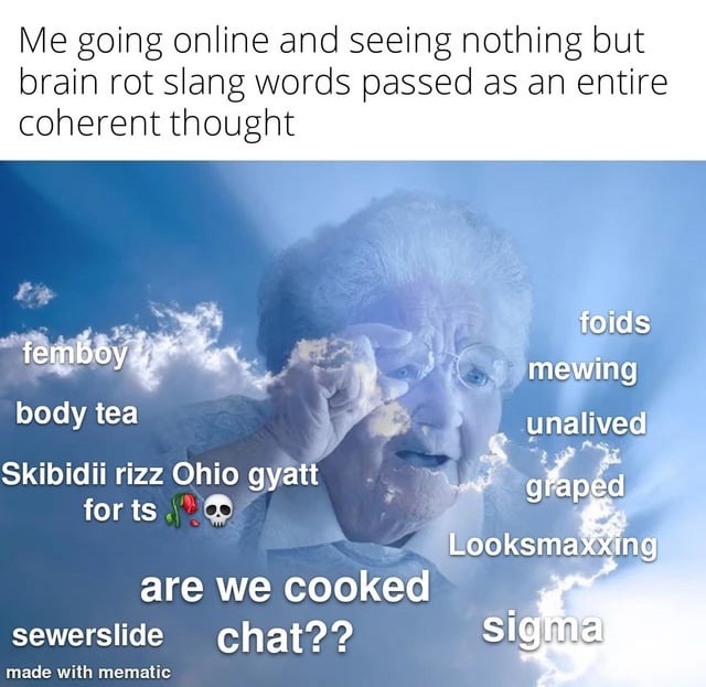 The best Brainrot memes