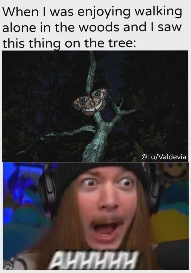 The best Forest memes :) Memedroid