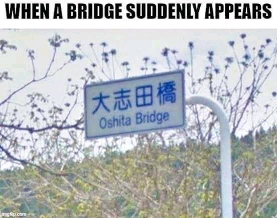 Oh shit a bridge - Meme by IamTurtle :) Memedroid