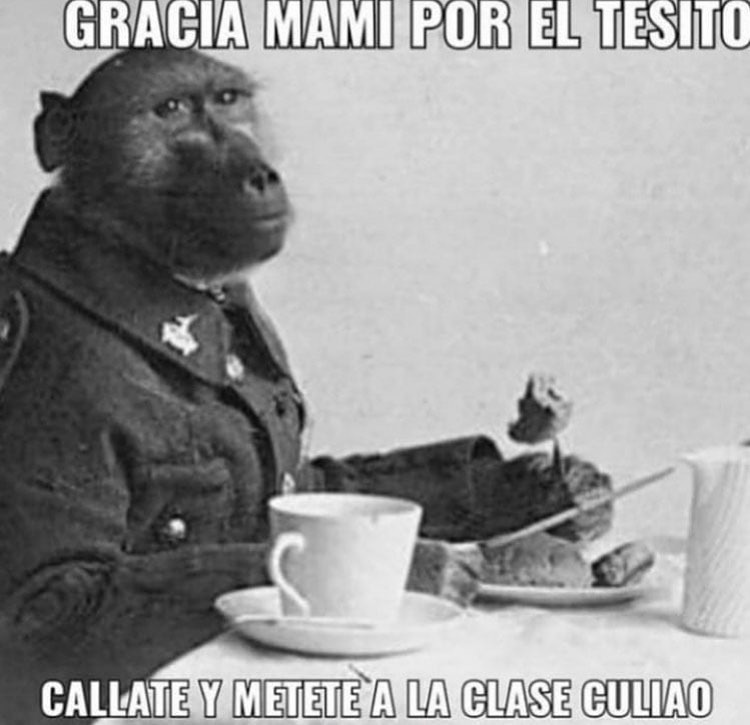 Mono - Meme subido por Painelitis :) Memedroid