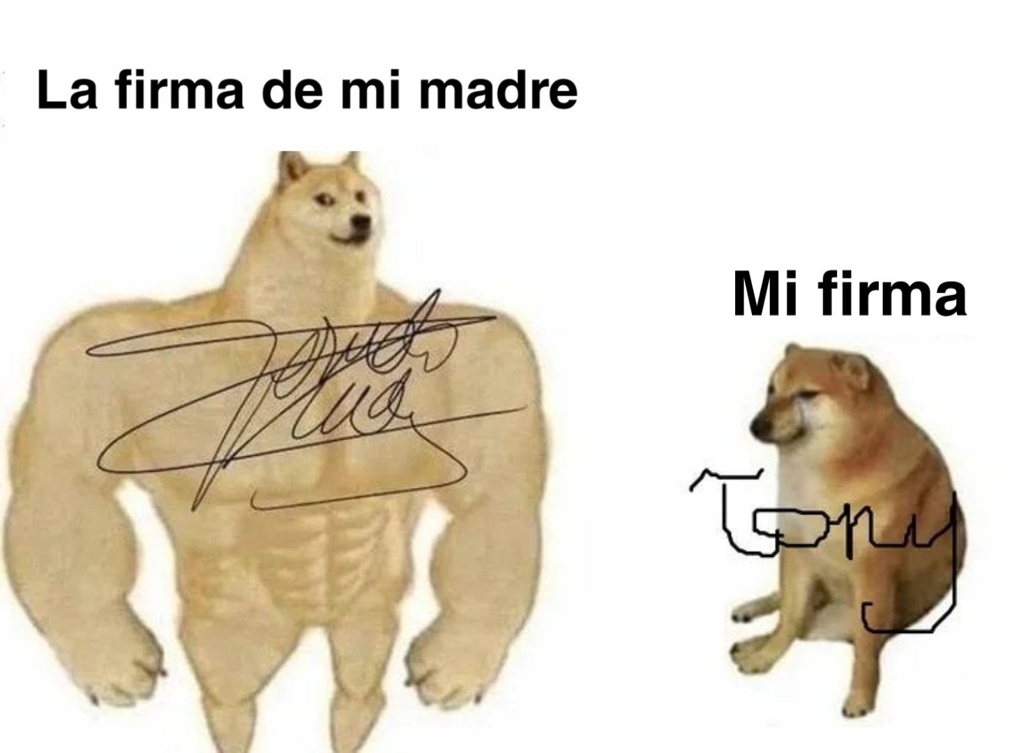 memesanse :) Memedroid