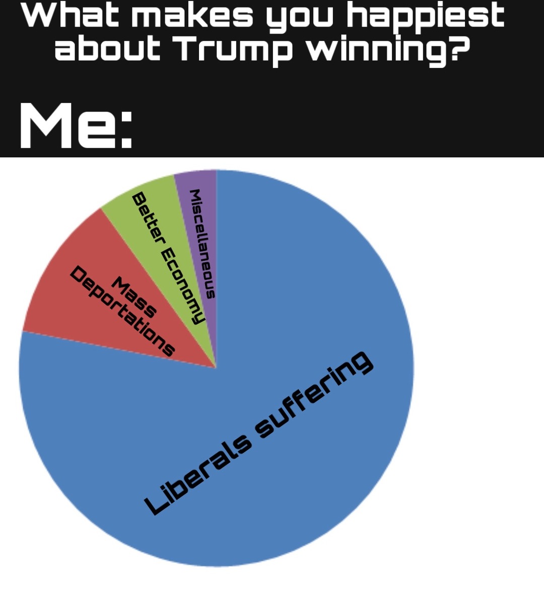 The best Liberals memes :) Memedroid