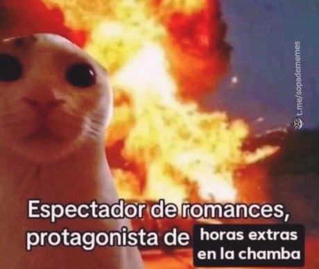 Los mejores memes de la chamba