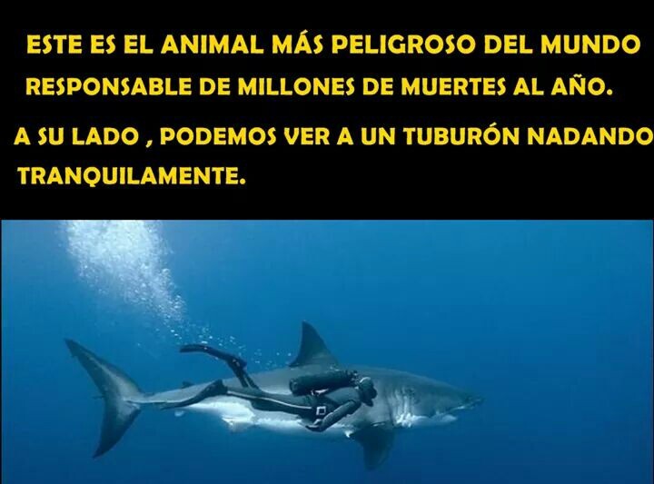 Somos unos monstruos :'v - Meme subido por Mecomomikk :) Memedroid