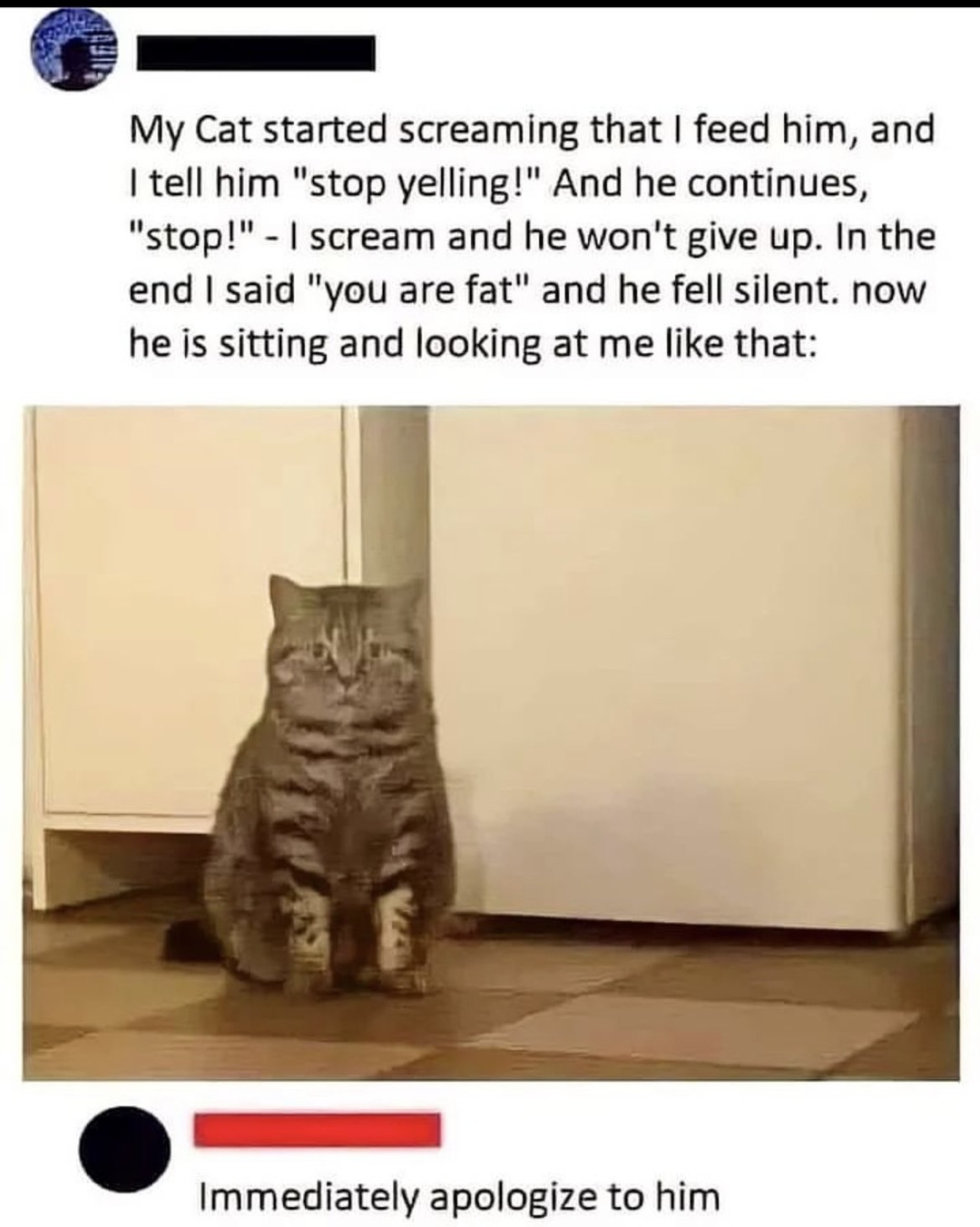 Kat - Meme by YourOtherLeft :) Memedroid