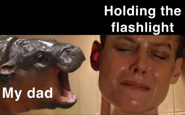 Suspicious Flashlight Memes Flashlights Meme By Ricoschiphorst :)