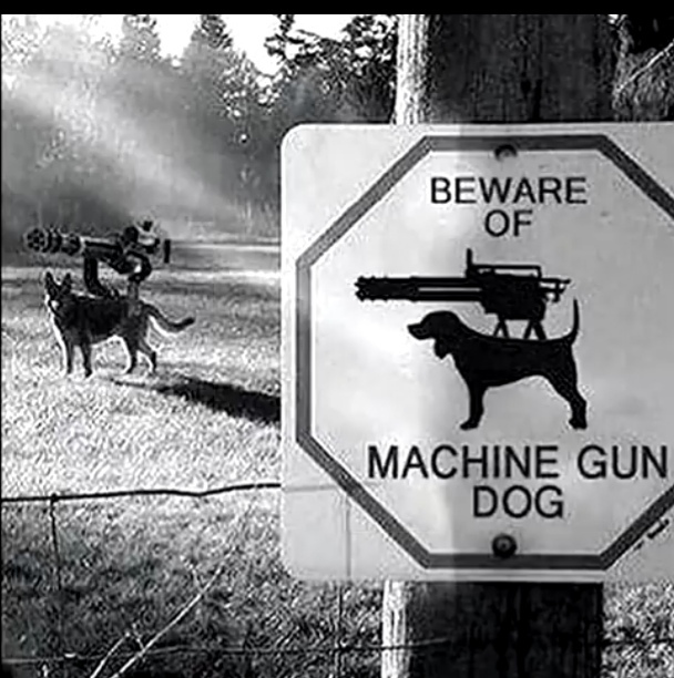 El perro de heavy - Meme subido por Adrianfr06 :) Memedroid