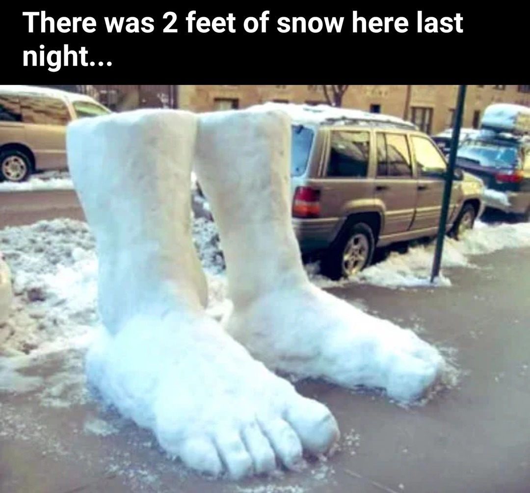 Frozen Winter Memes