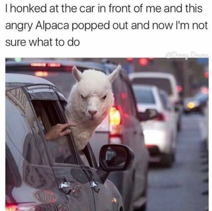 Yikes - Meme by audilover23 :) Memedroid