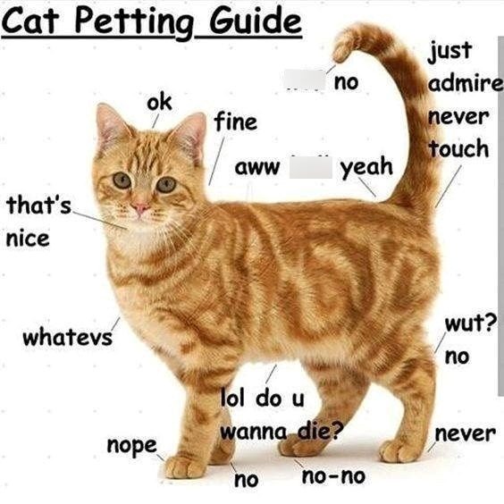 Latest memes / New memes :) Memedroid