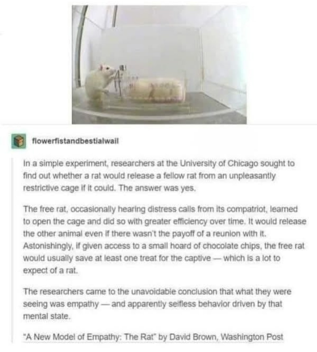 The Latest Memes :) Memedroid