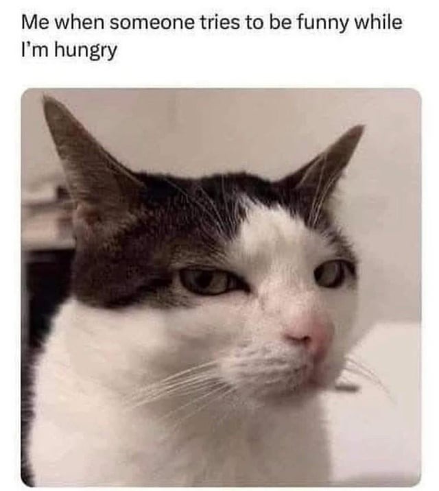 The Latest Memes :) Memedroid