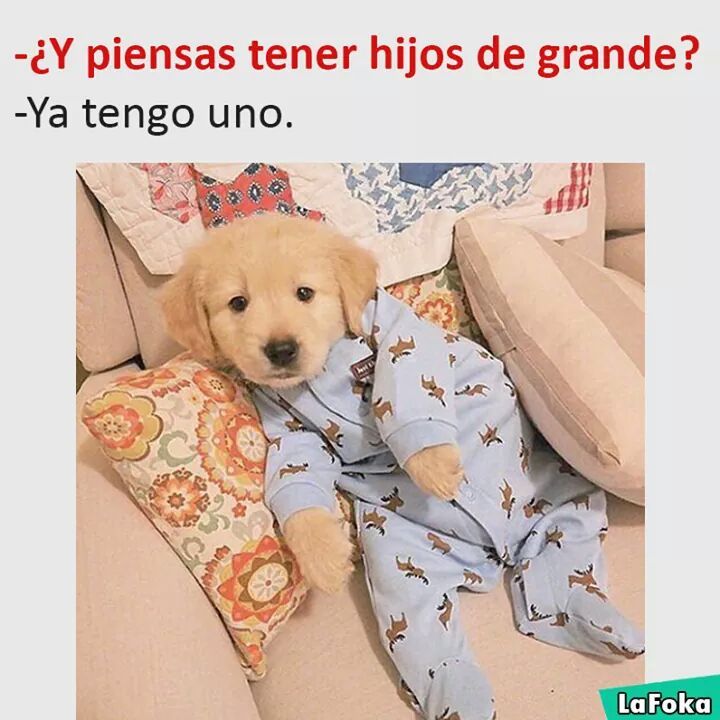 Awww Que Lindo Meme Puto Sol Meme By Clusters :) Memedroid