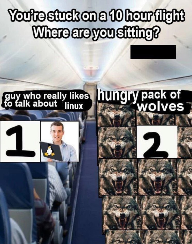 The Best Wolf Memes :) Memedroid