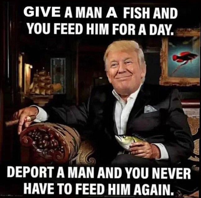 The Latest Memes :) Memedroid