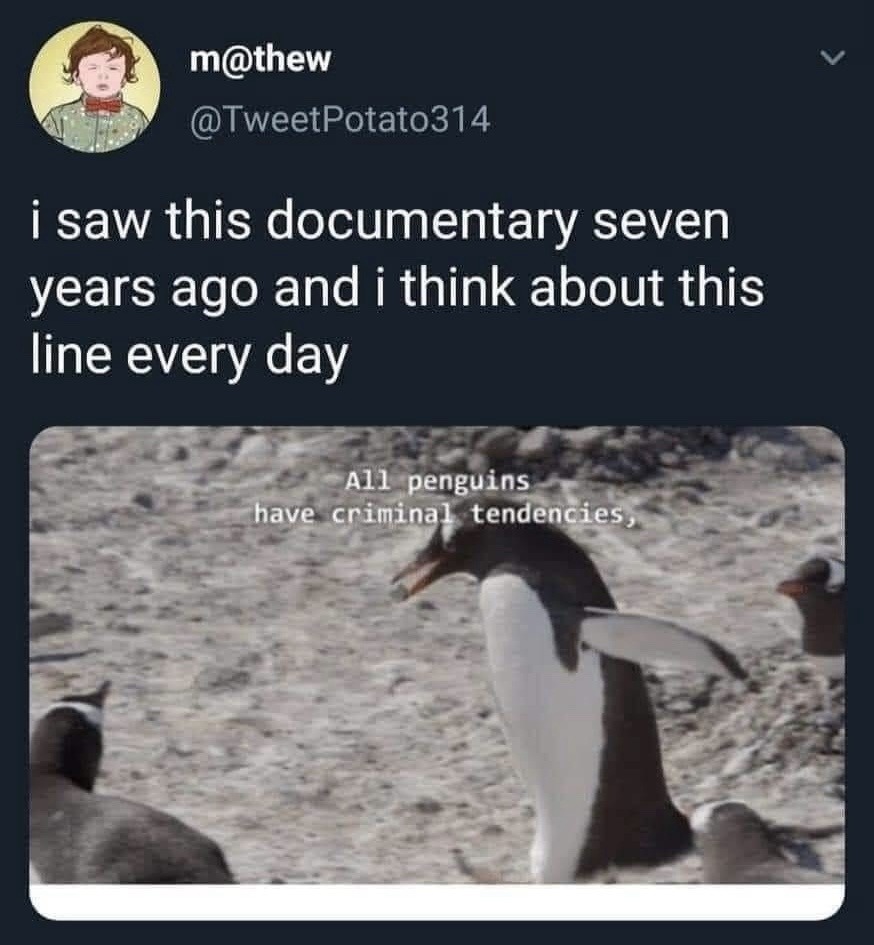 The best Documentary memes :) Memedroid