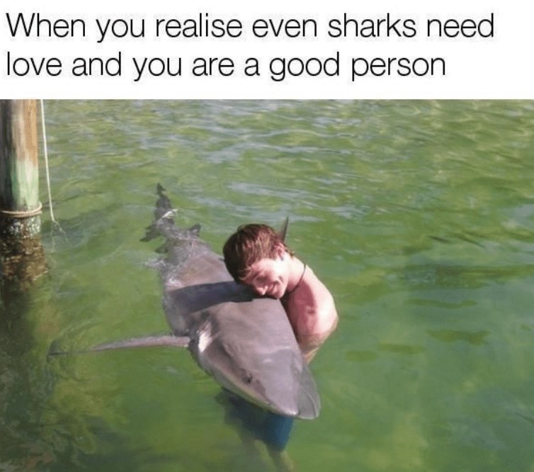 The best Loveanimals memes :) Memedroid