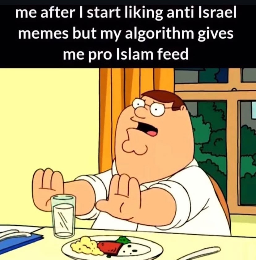 The best Israel memes