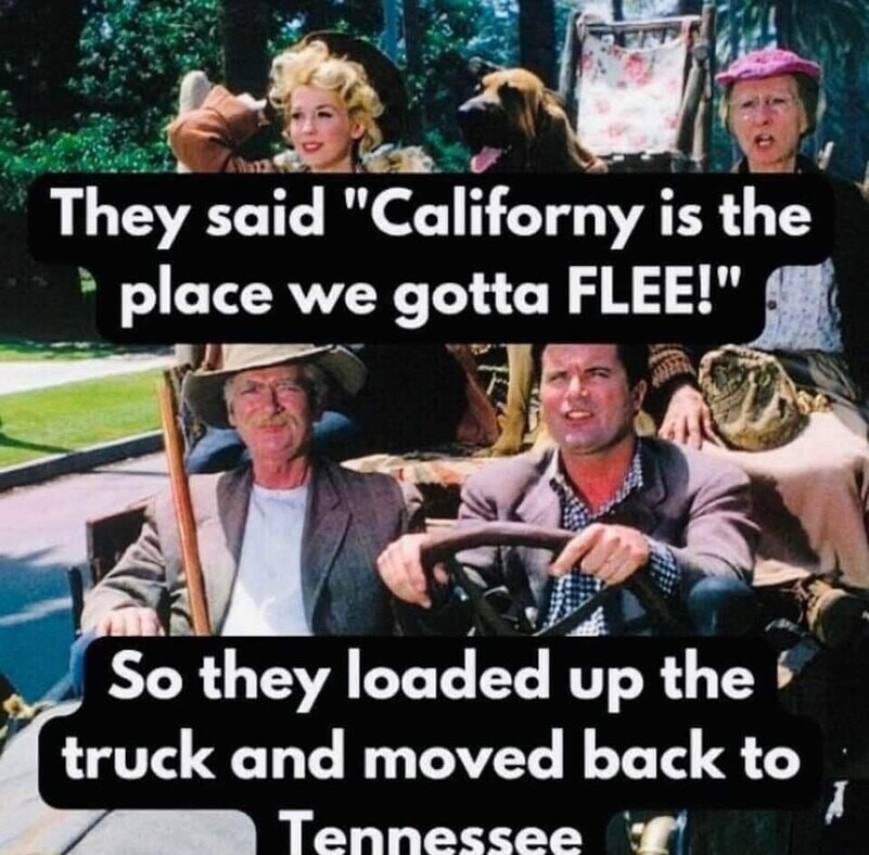 The Latest Memes :) Memedroid