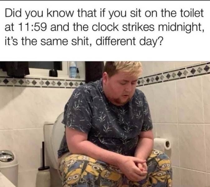 The best Toilet memes :) Memedroid