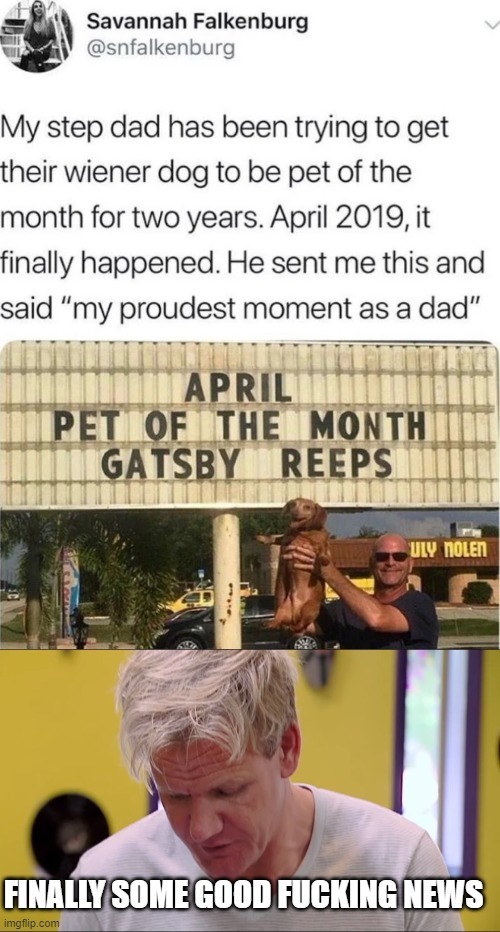 Latest memes / New memes :) Memedroid