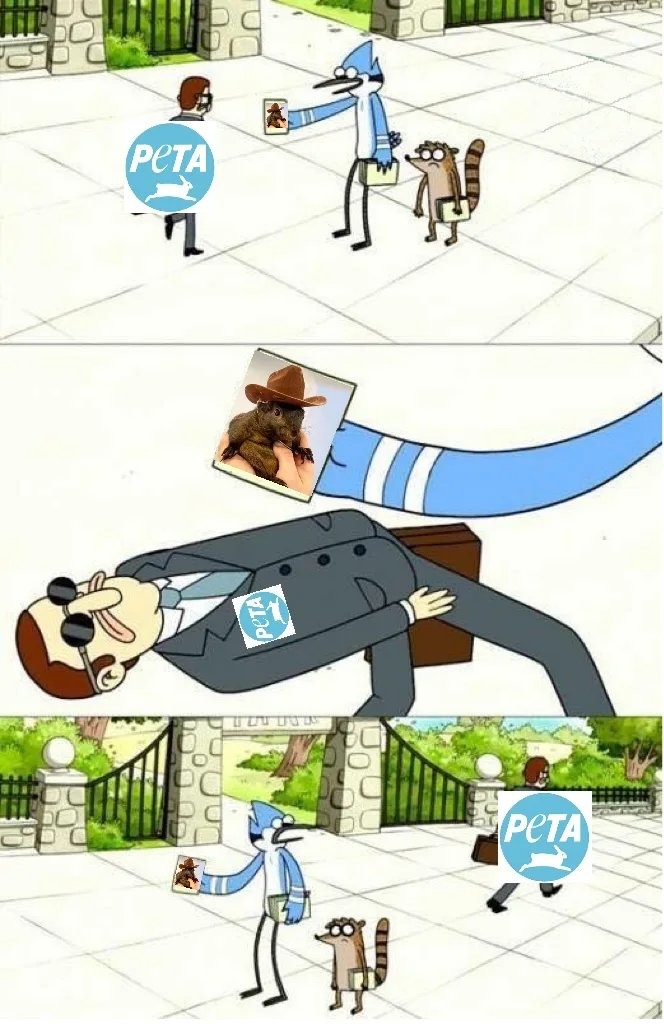 The best PETA memes :) Memedroid