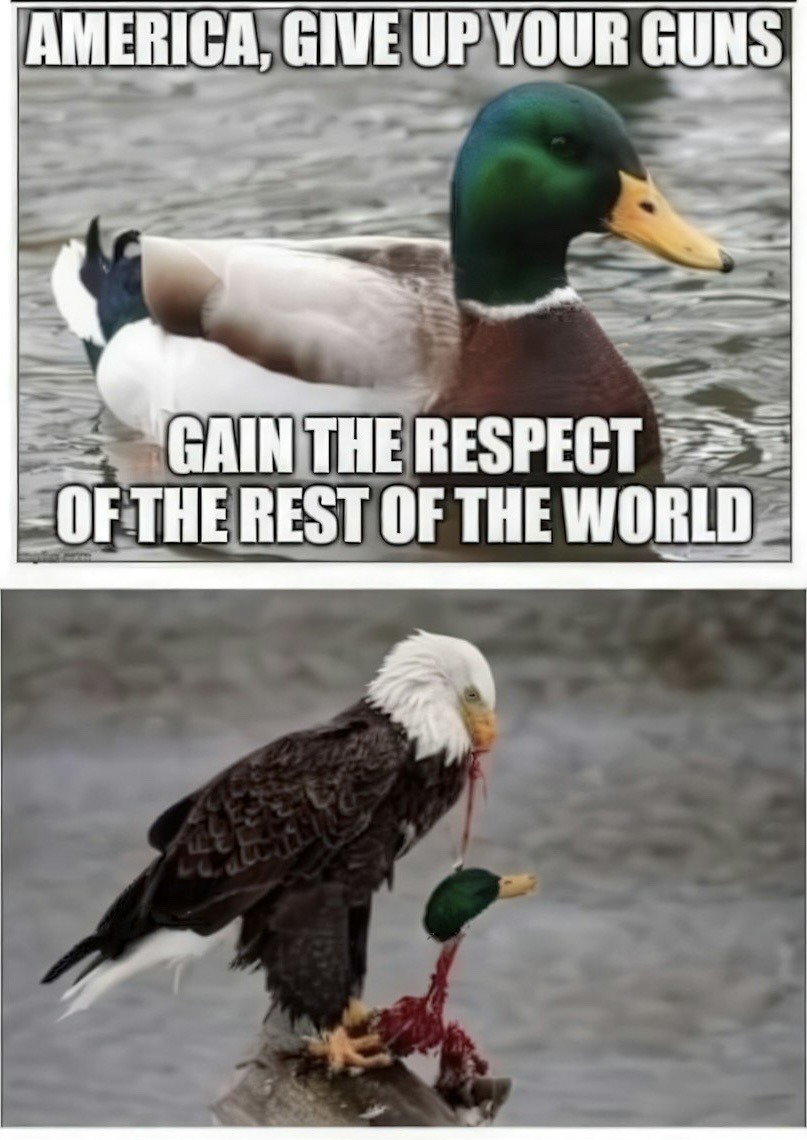 The best Eagle memes :) Memedroid