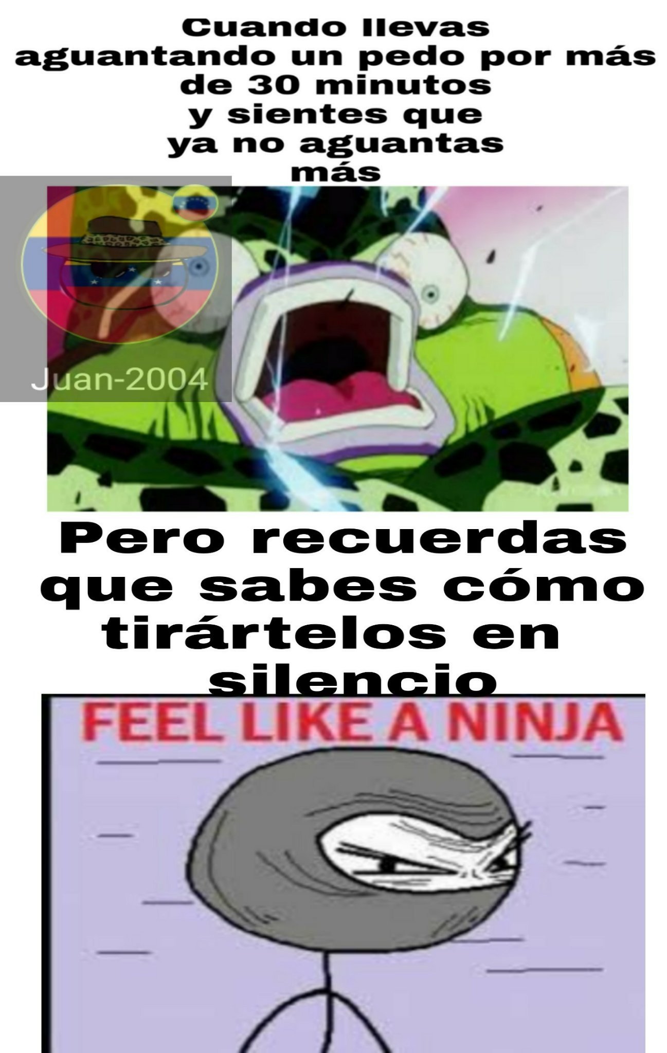 Ninja - Meme subido por Juan-2004 :) Memedroid