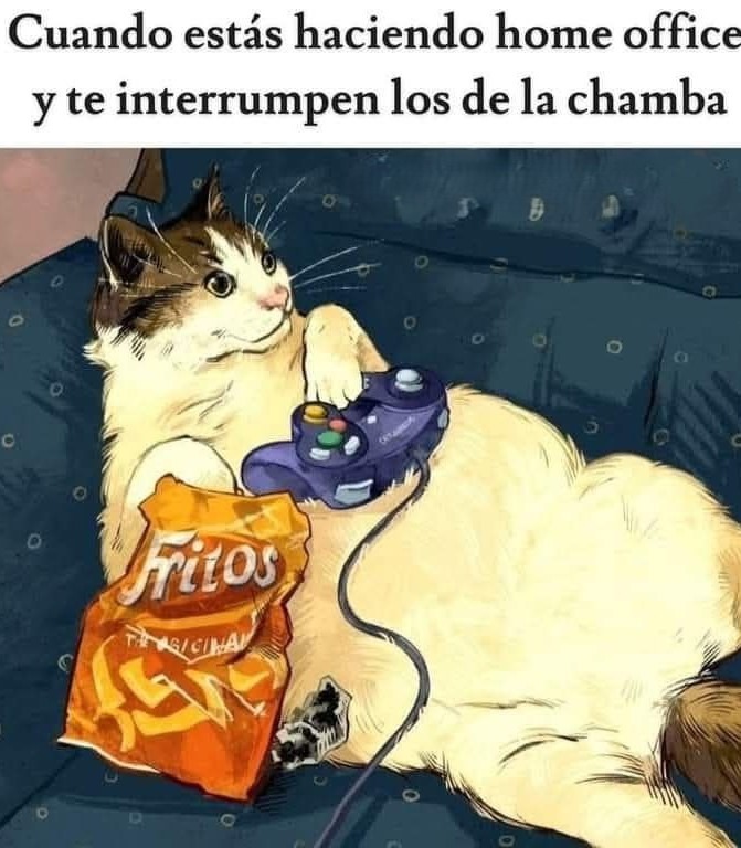 Los Últimos Memes :) Memedroid