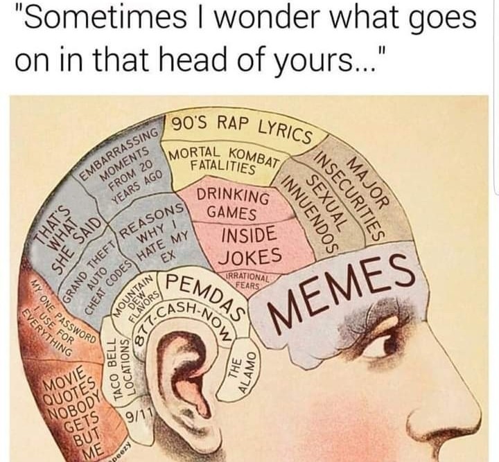 Pretty solid representation. - Meme by ImNotVeryGood... :) Memedroid