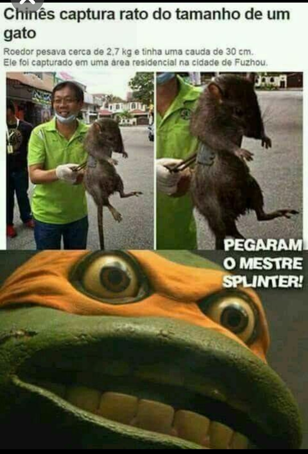 Pegaram o ratão - Meme by PeixeDePlantao :) Memedroid