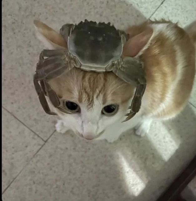 Memes Bajo Control Top 336 Memes De Bajo Control