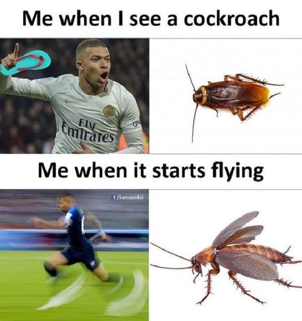 The best True memes :) Memedroid