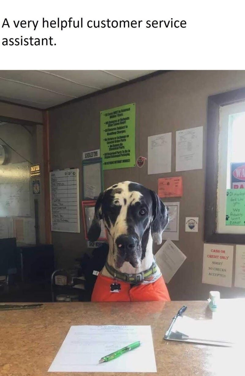 Best customer service agent - Meme by Scoots291 :) Memedroid