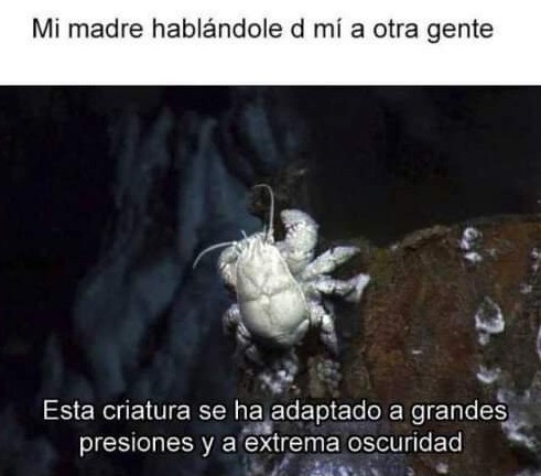 Regresé - Meme subido por NovaLee :) Memedroid