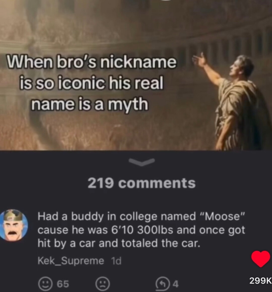 Latest memes / New memes :) Memedroid