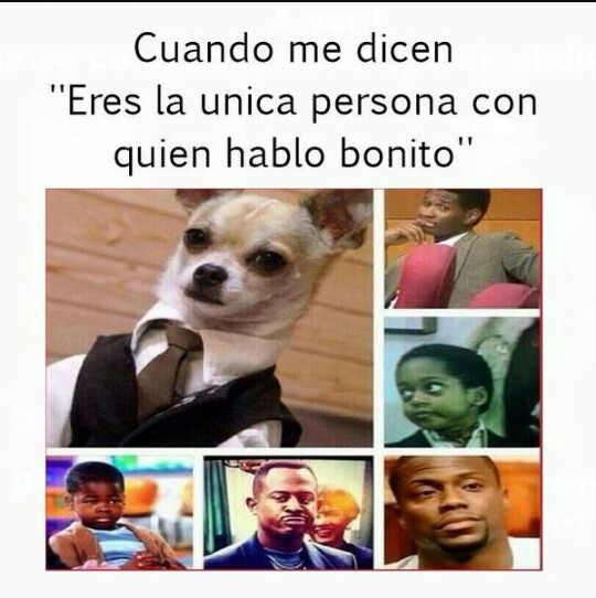 Wut - Meme subido por BYSERAX :) Memedroid