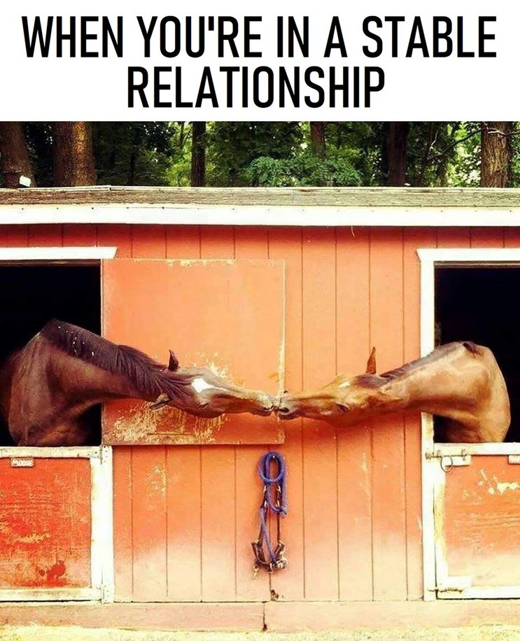 When you are in a stable relationship - Meme by schizoidman :) Memedroid When you are in a stable relationship - Meme by schizoidman :) Memedroid