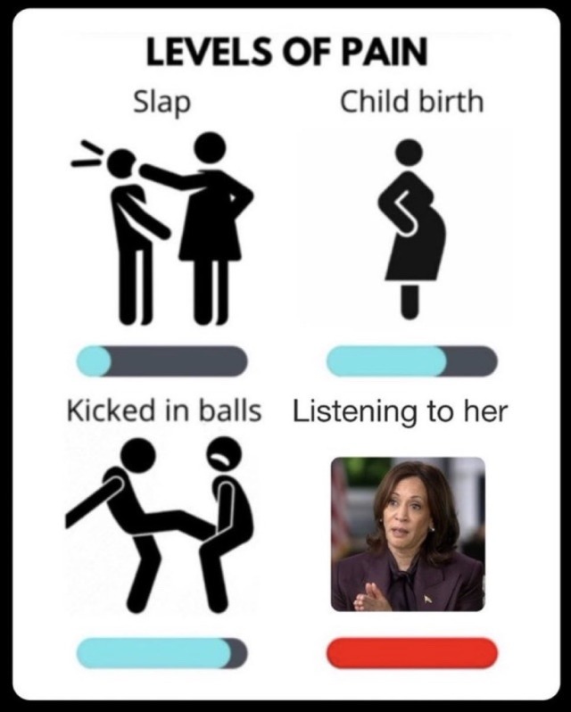 Latest memes / New memes :) Memedroid