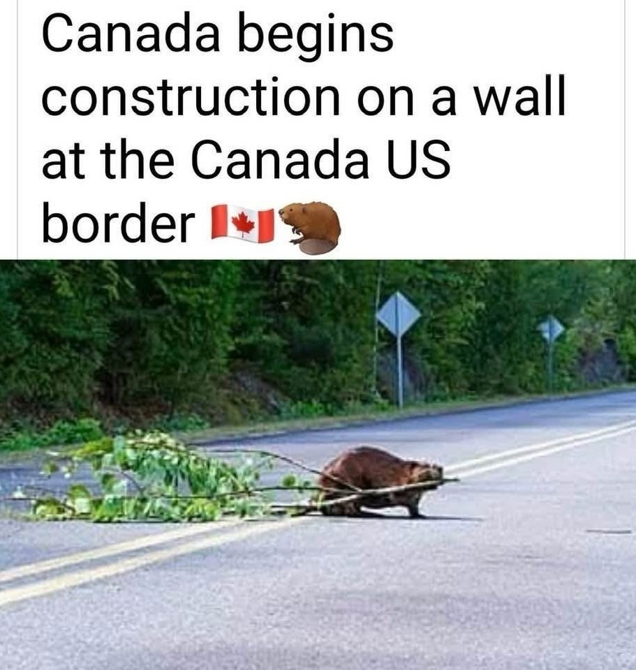 The best Beaver memes :) Memedroid