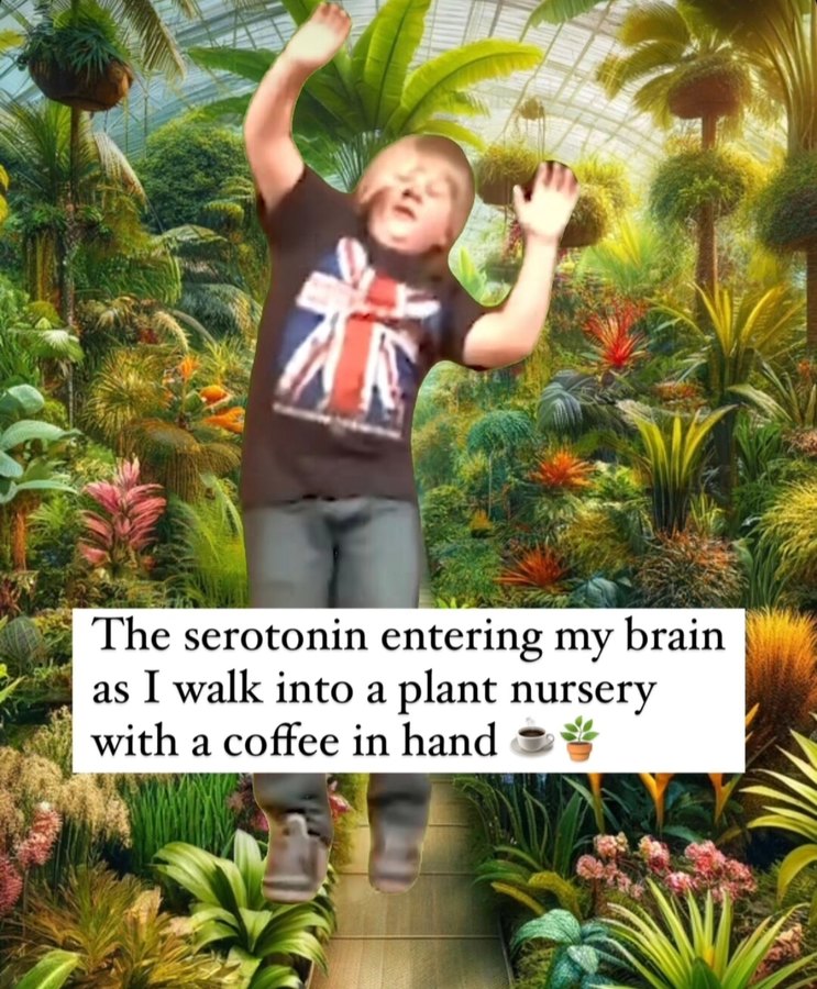 The best Plants memes :) Memedroid