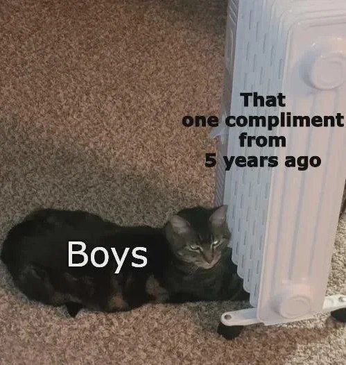 The best Compliment memes :) Memedroid