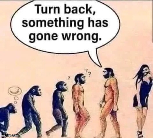 The best Evolution memes :) Memedroid