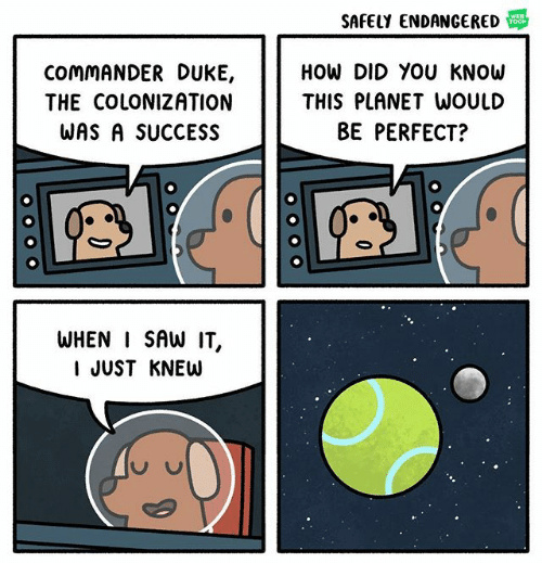 He's a good boy - Meme by McGoblet :) Memedroid